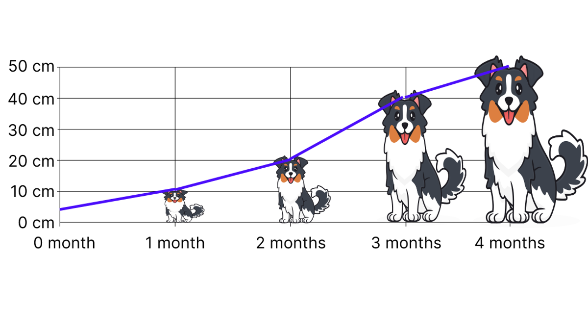 Line Charts | Junior Math | House of Math